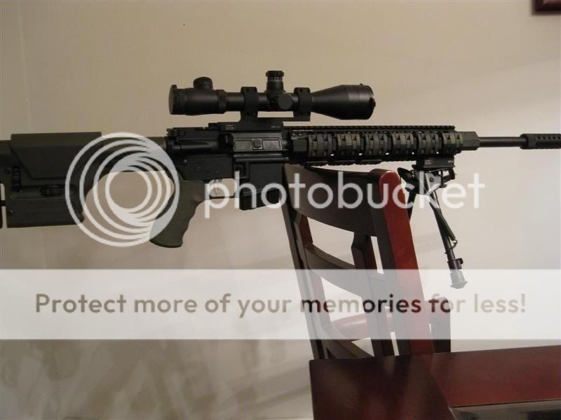 600yd DPMS Arctic Panther Ar15??? | Long Range Hunting Forum – Expert ...